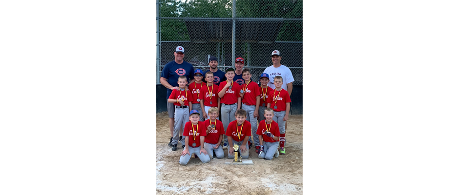 Home [www.collierbaseballsoftball.org]