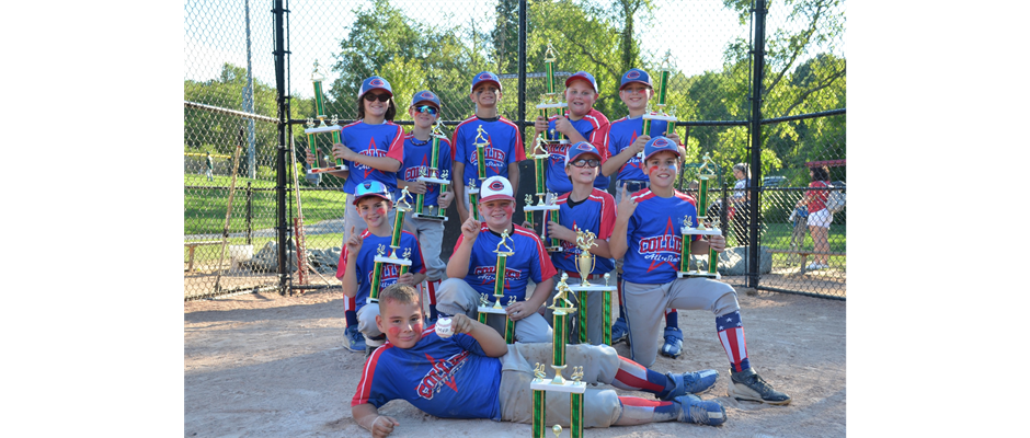 Home [www.collierbaseballsoftball.org]